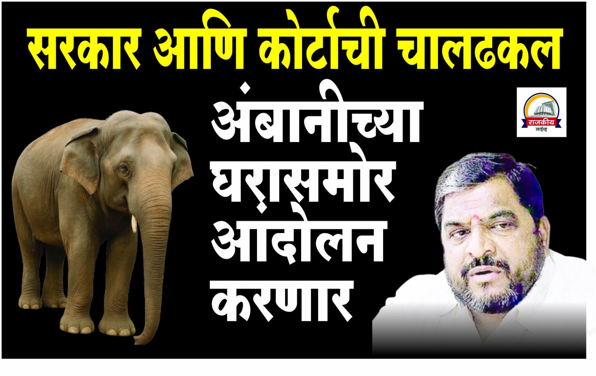 raju shetti on madhuri elephant news : अनंत अंबानीच्या अंटालियासमोर ठाण मांडणार : राजू शेट्टी ...